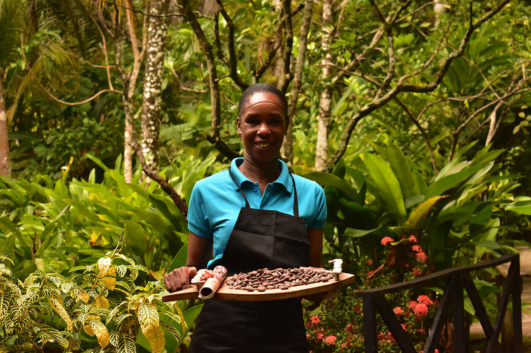 Chocolate Making Tours or Nature Hikes - Fond Doux Eco Resort